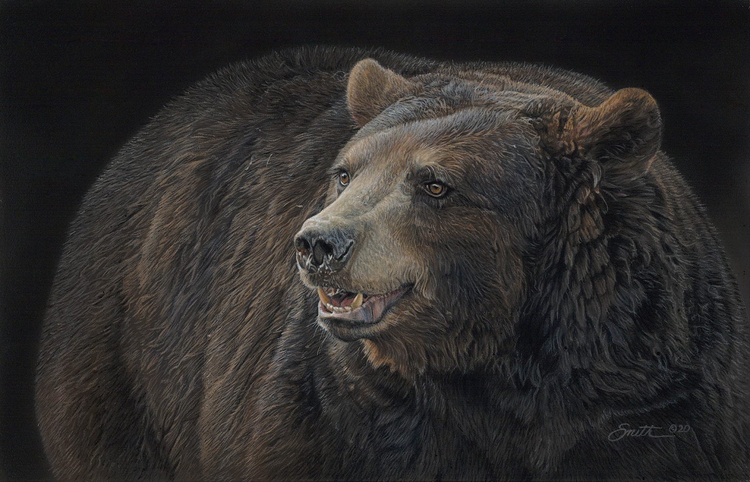Original Paintings by Daniel Smith Wildlife Artist | Daniel Smith Wildlife