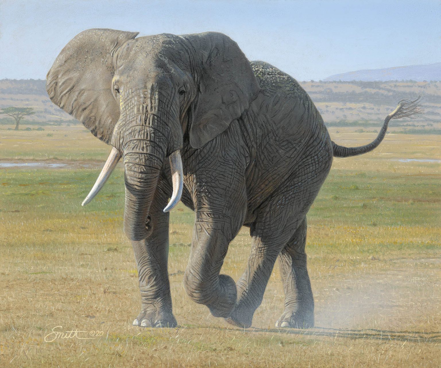 Original Paintings by Daniel Smith Wildlife Artist | Daniel Smith Wildlife