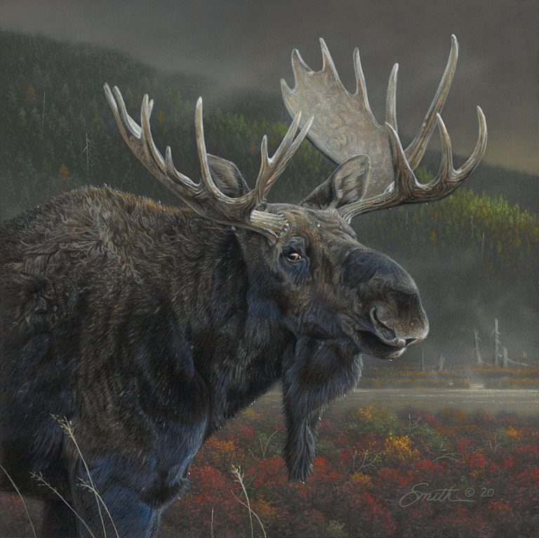 The Official Website of Wildlife Artist and African Animal Painter Dan ...