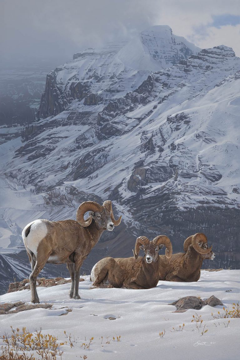 Original Paintings by Daniel Smith Wildlife Artist | Daniel Smith Wildlife