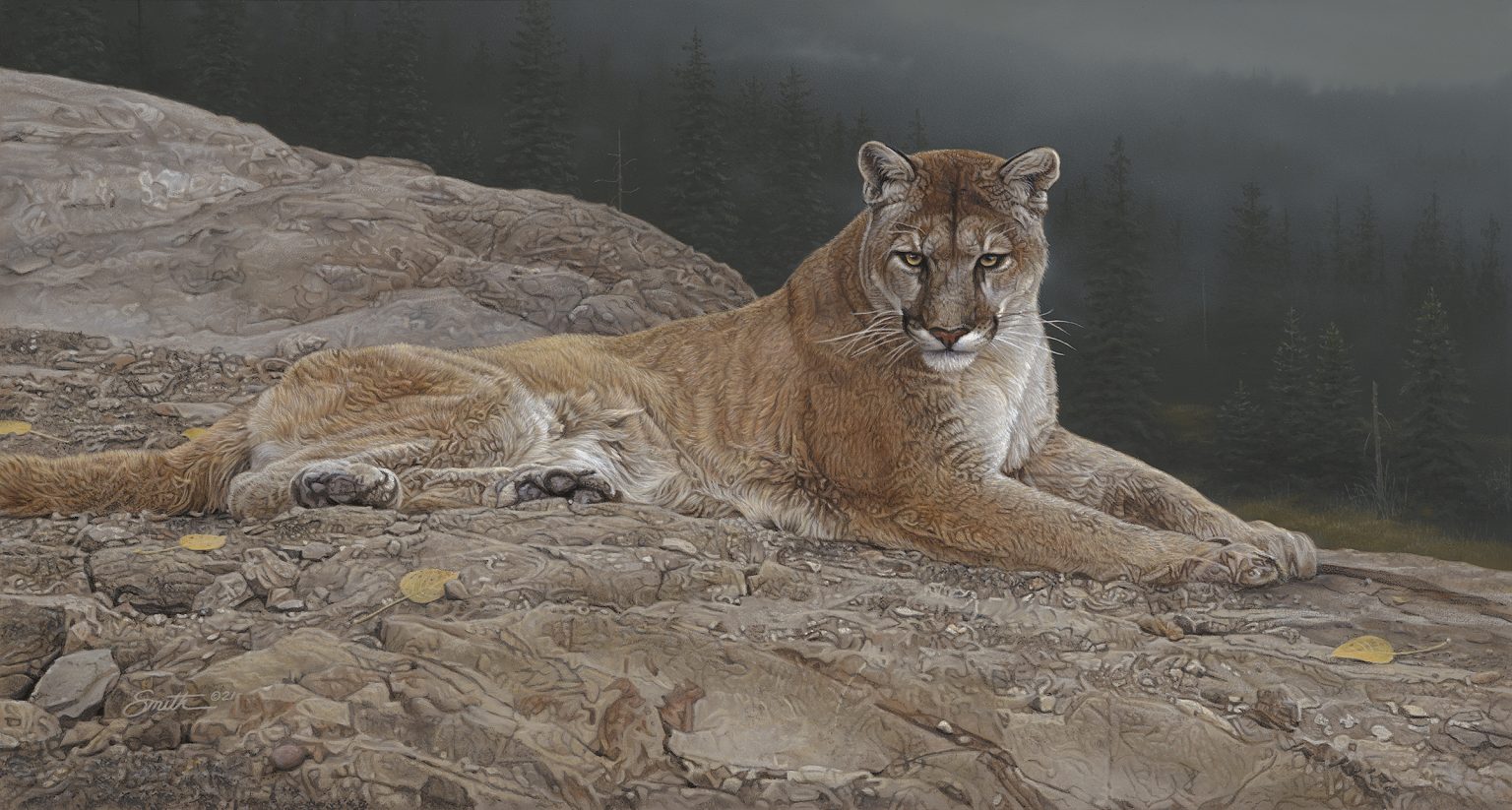 The Official Website of Wildlife Artist and African Animal Painter Dan ...