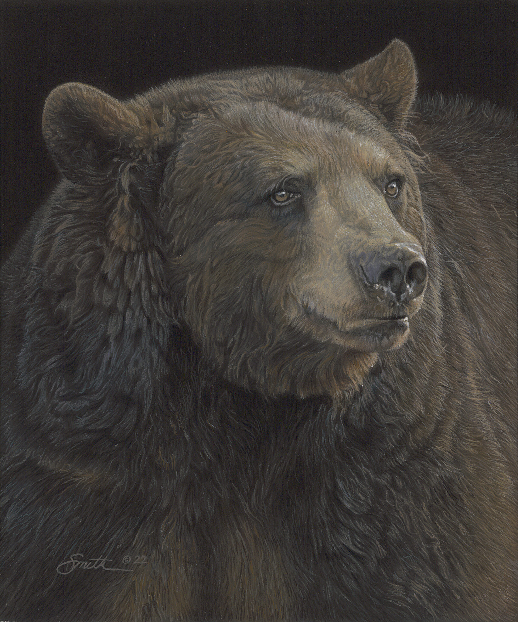 The Official Website of Wildlife Artist and African Animal Painter Dan ...