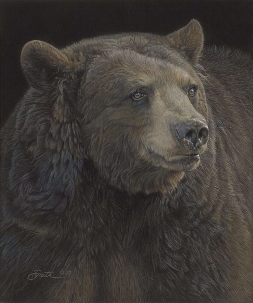 The Official Website of Wildlife Artist and African Animal Painter Dan ...