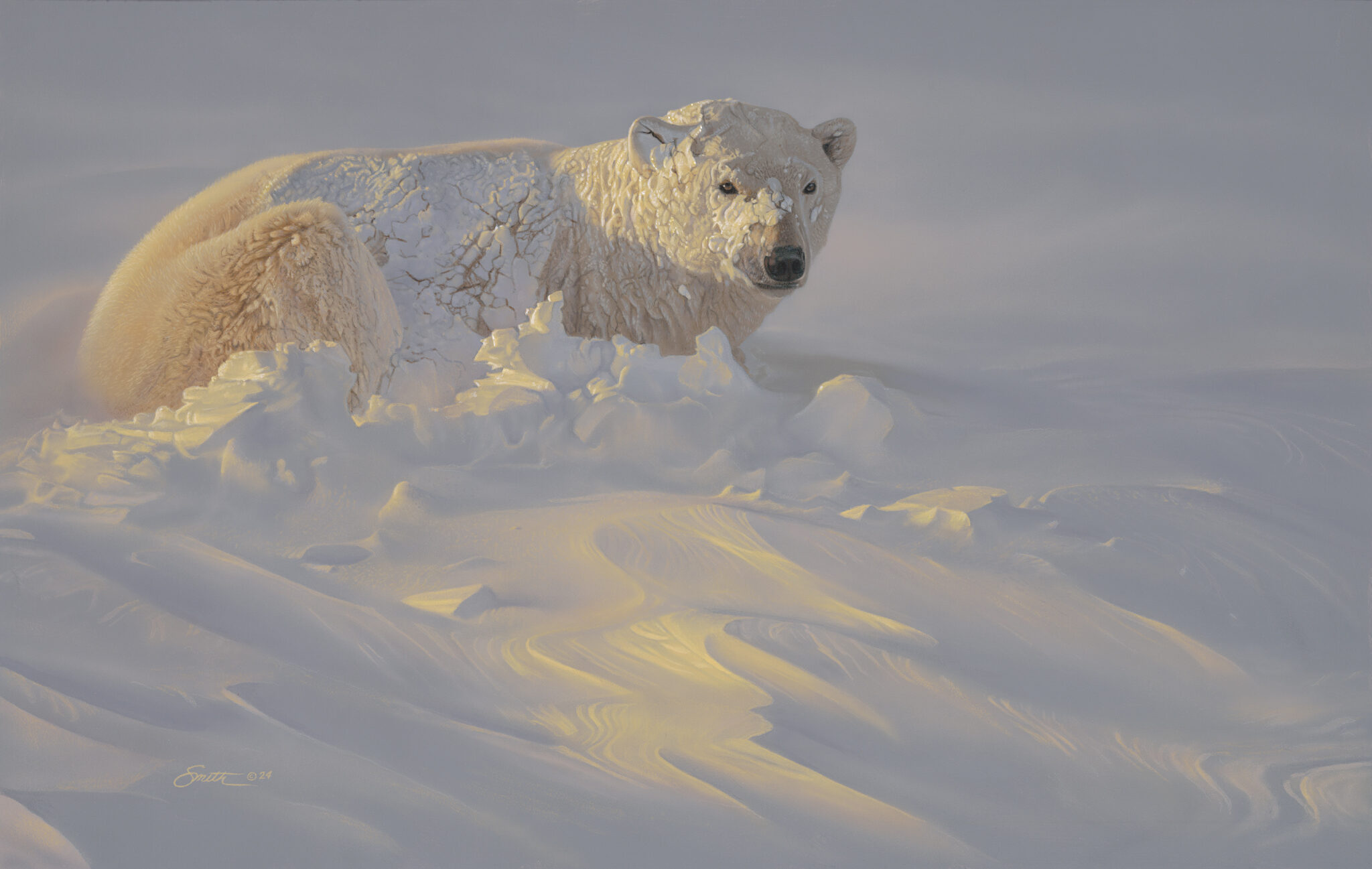 The Official Website of Wildlife Artist and African Animal Painter Dan ...