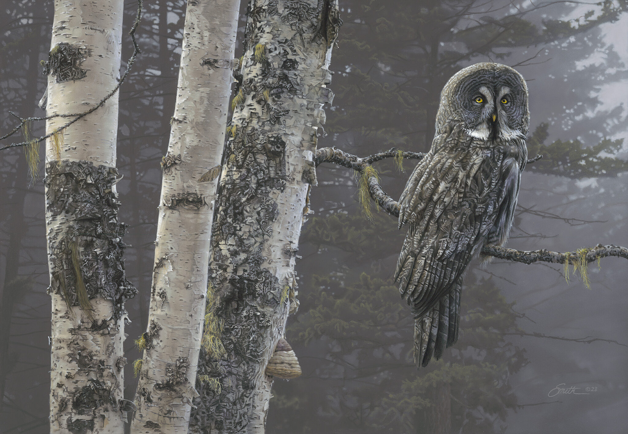 The Official Website of Wildlife Artist and African Animal Painter Dan ...