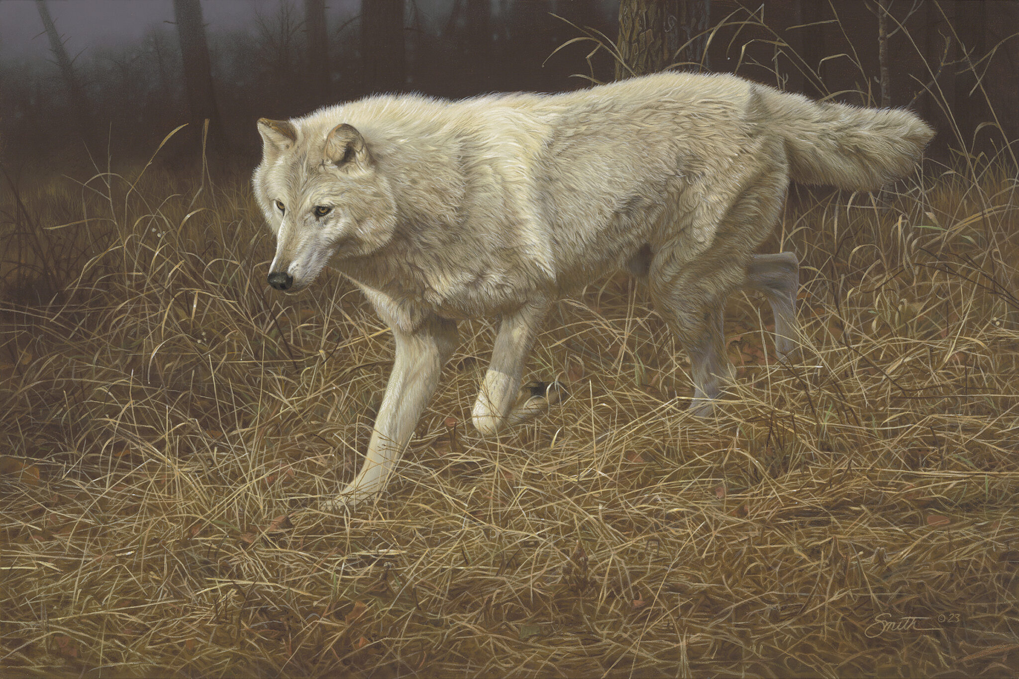 The Official Website of Wildlife Artist and African Animal Painter Dan ...