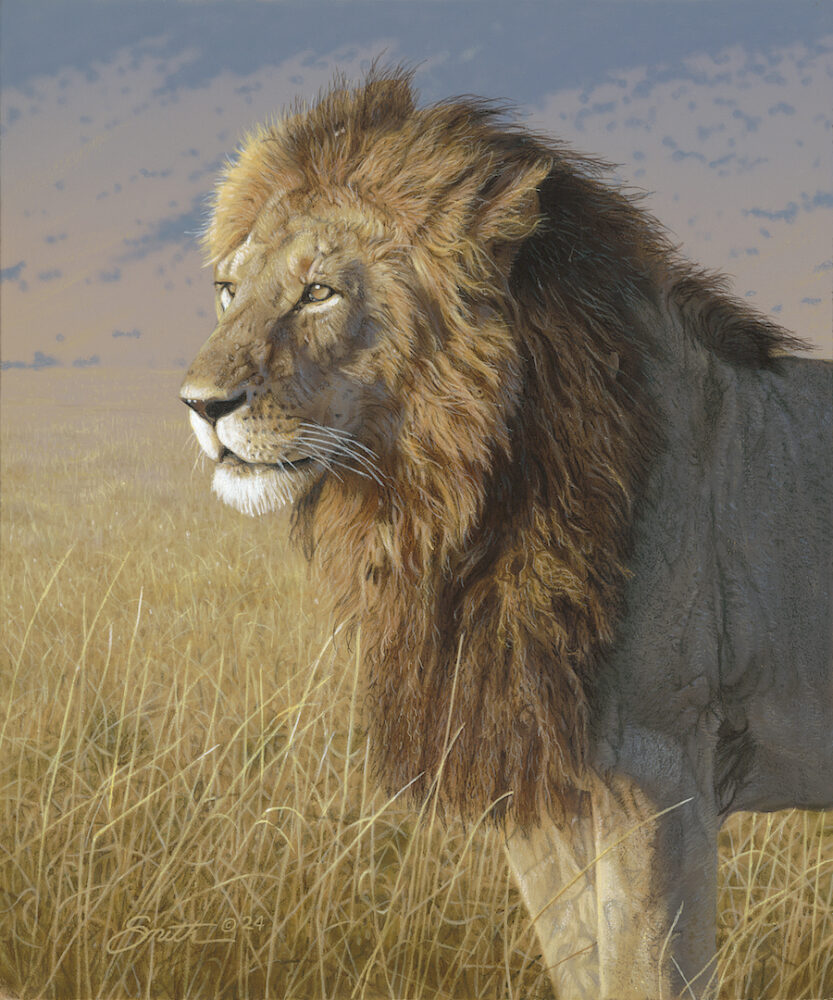 The Official Website of Wildlife Artist and African Animal Painter Dan ...