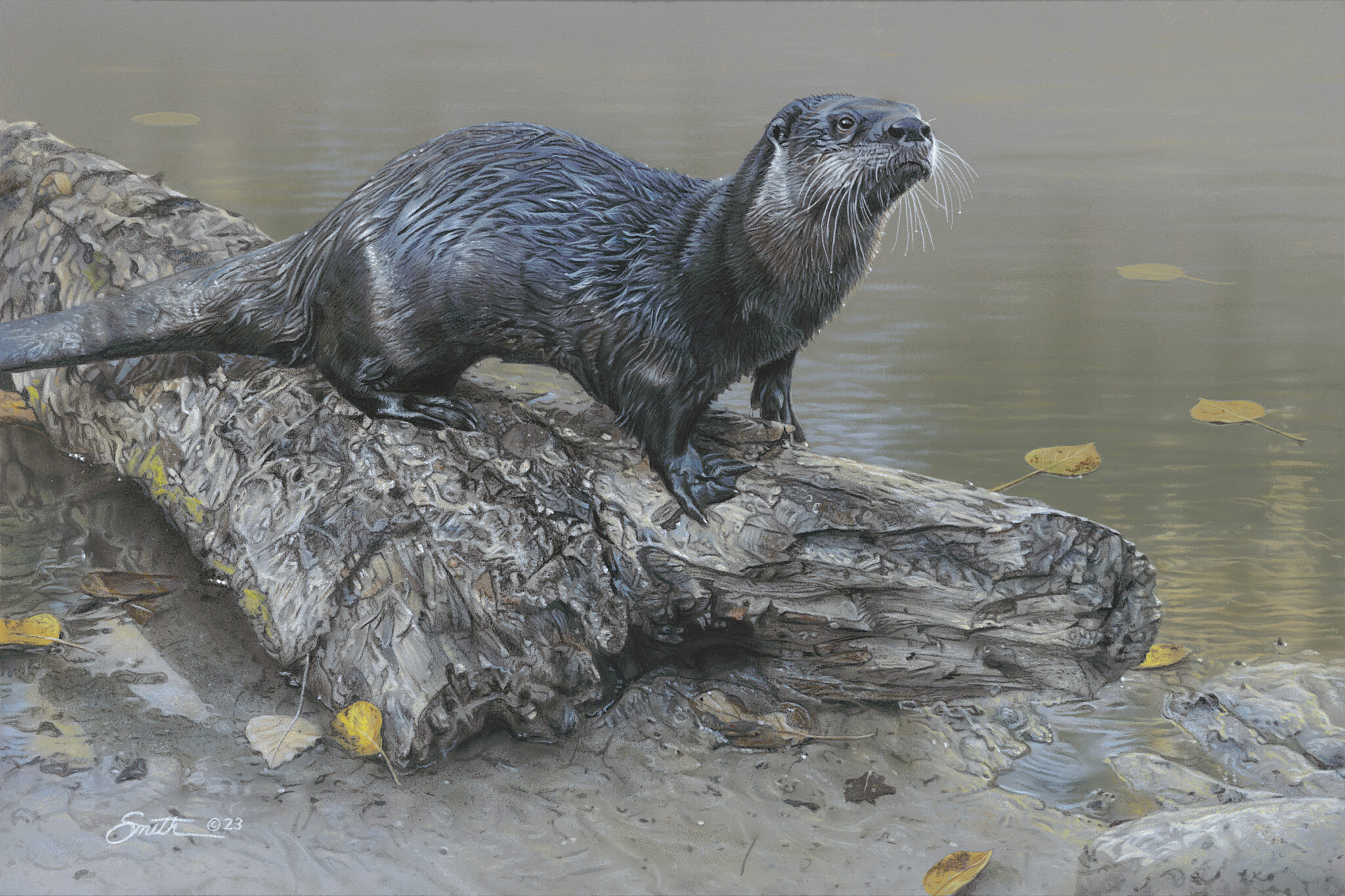 The Official Website of Wildlife Artist and African Animal Painter Dan ...