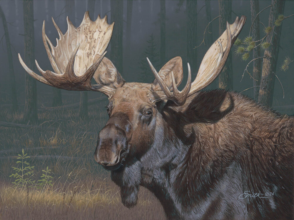 The Official Website of Wildlife Artist and African Animal Painter Dan ...