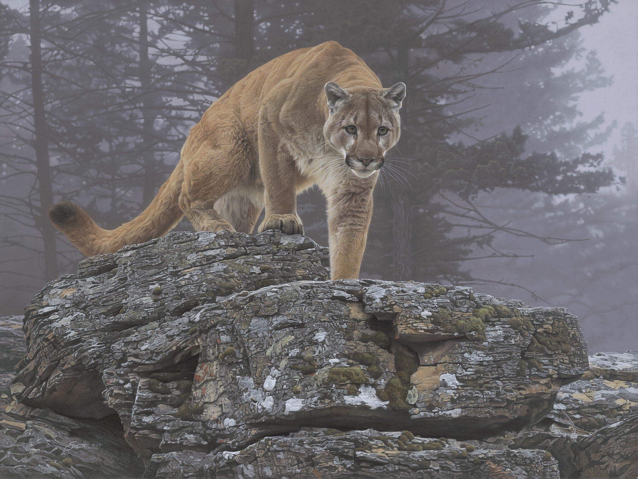 The Official Website of Wildlife Artist and African Animal Painter Dan ...