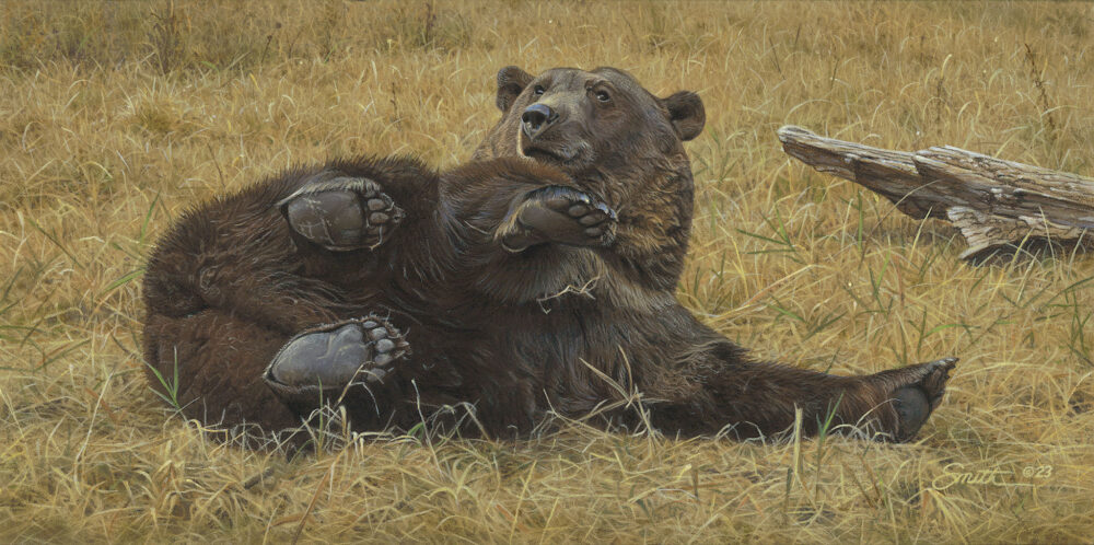 The Official Website of Wildlife Artist and African Animal Painter Dan ...