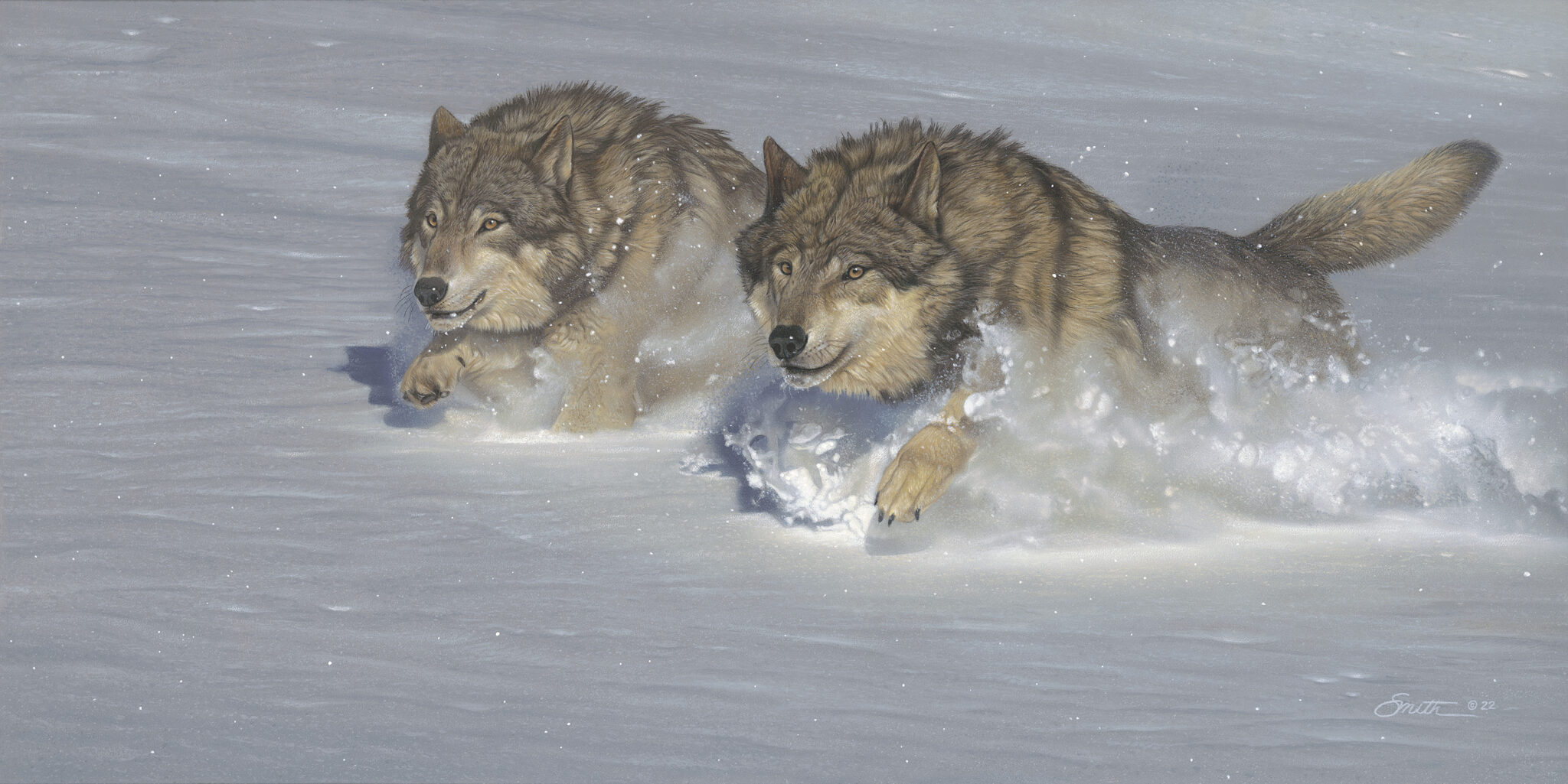 The Official Website of Wildlife Artist and African Animal Painter Dan ...