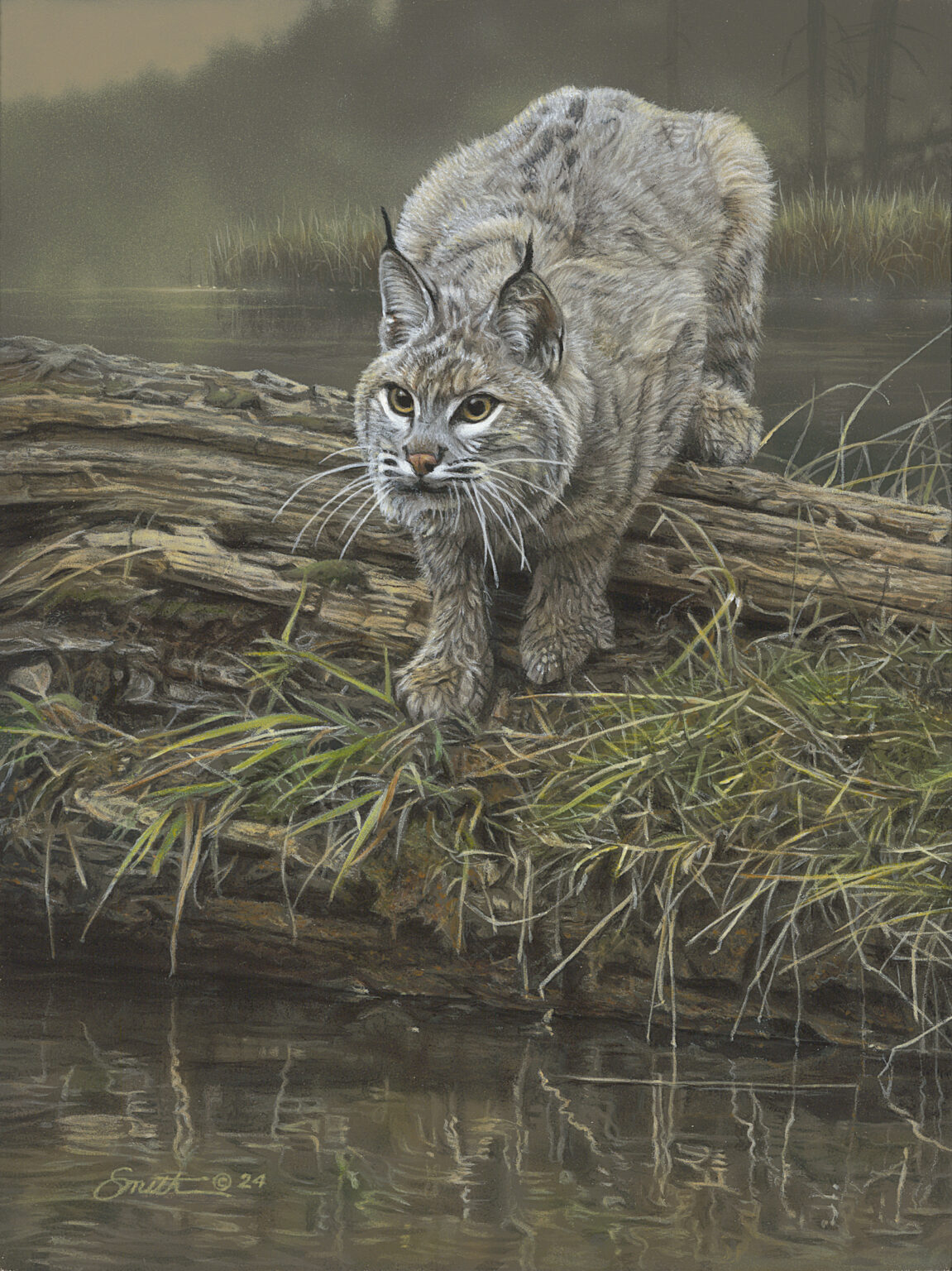 The Official Website of Wildlife Artist and African Animal Painter Dan ...