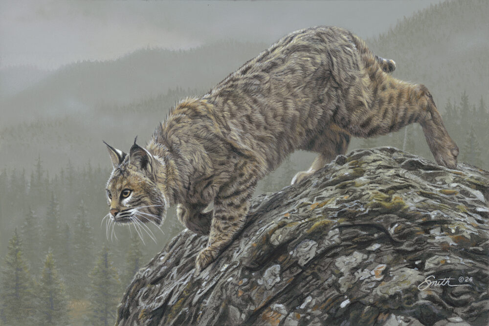 The Official Website of Wildlife Artist and African Animal Painter Dan ...