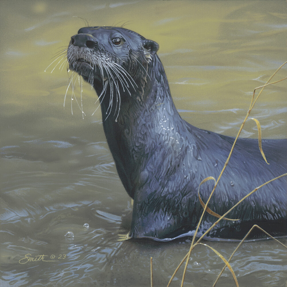 The Official Website of Wildlife Artist and African Animal Painter Dan ...