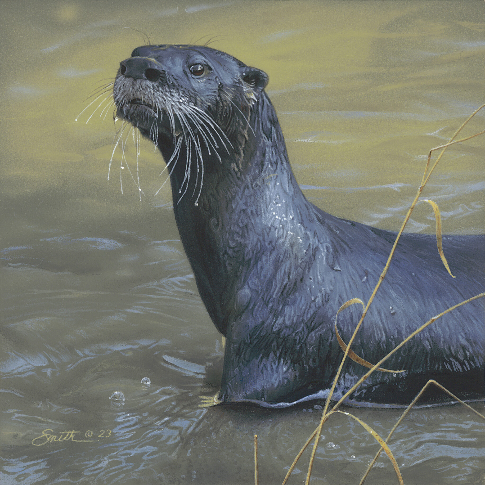 The Official Website of Wildlife Artist and African Animal Painter Dan ...