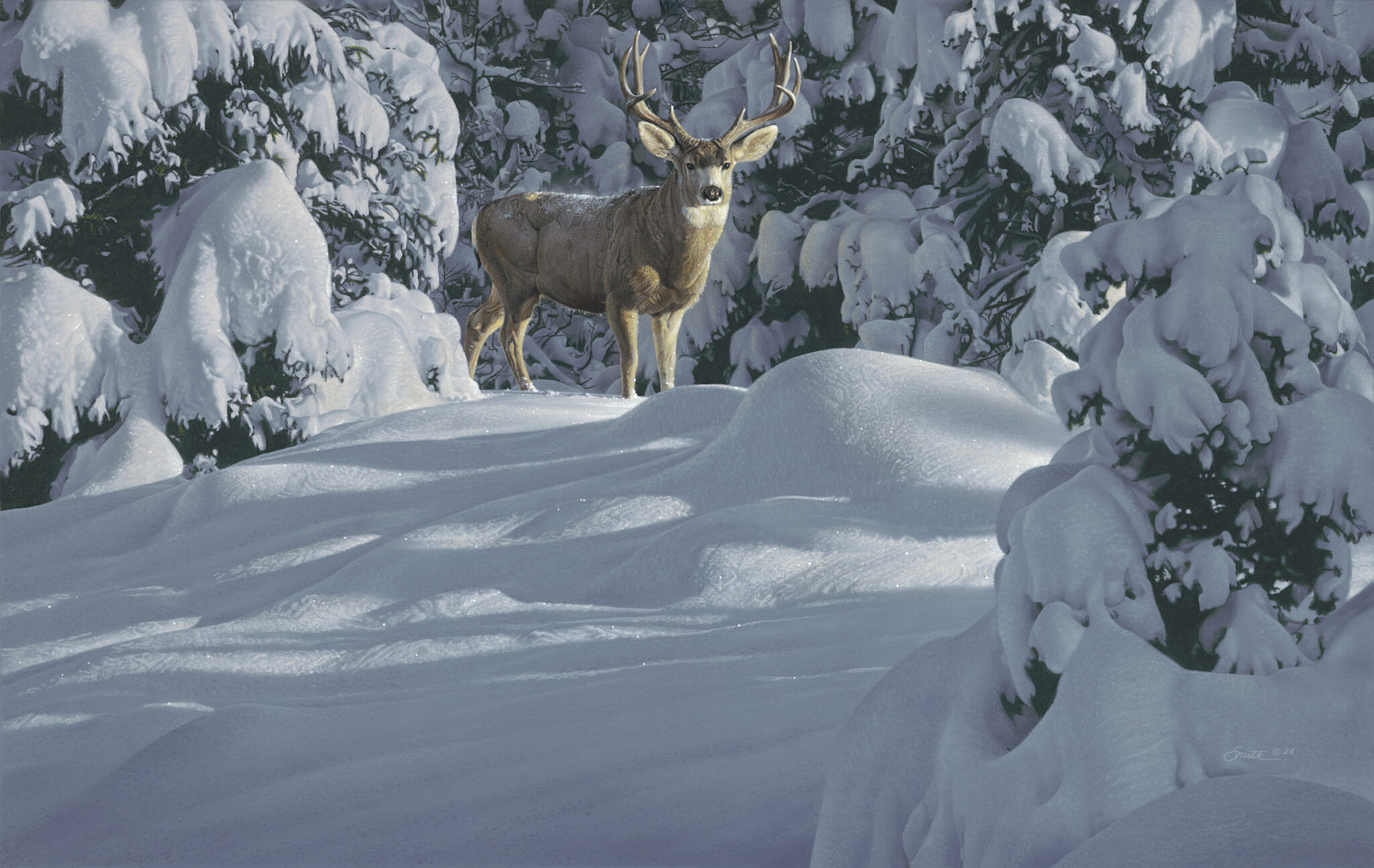 The Official Website of Wildlife Artist and African Animal Painter Dan ...